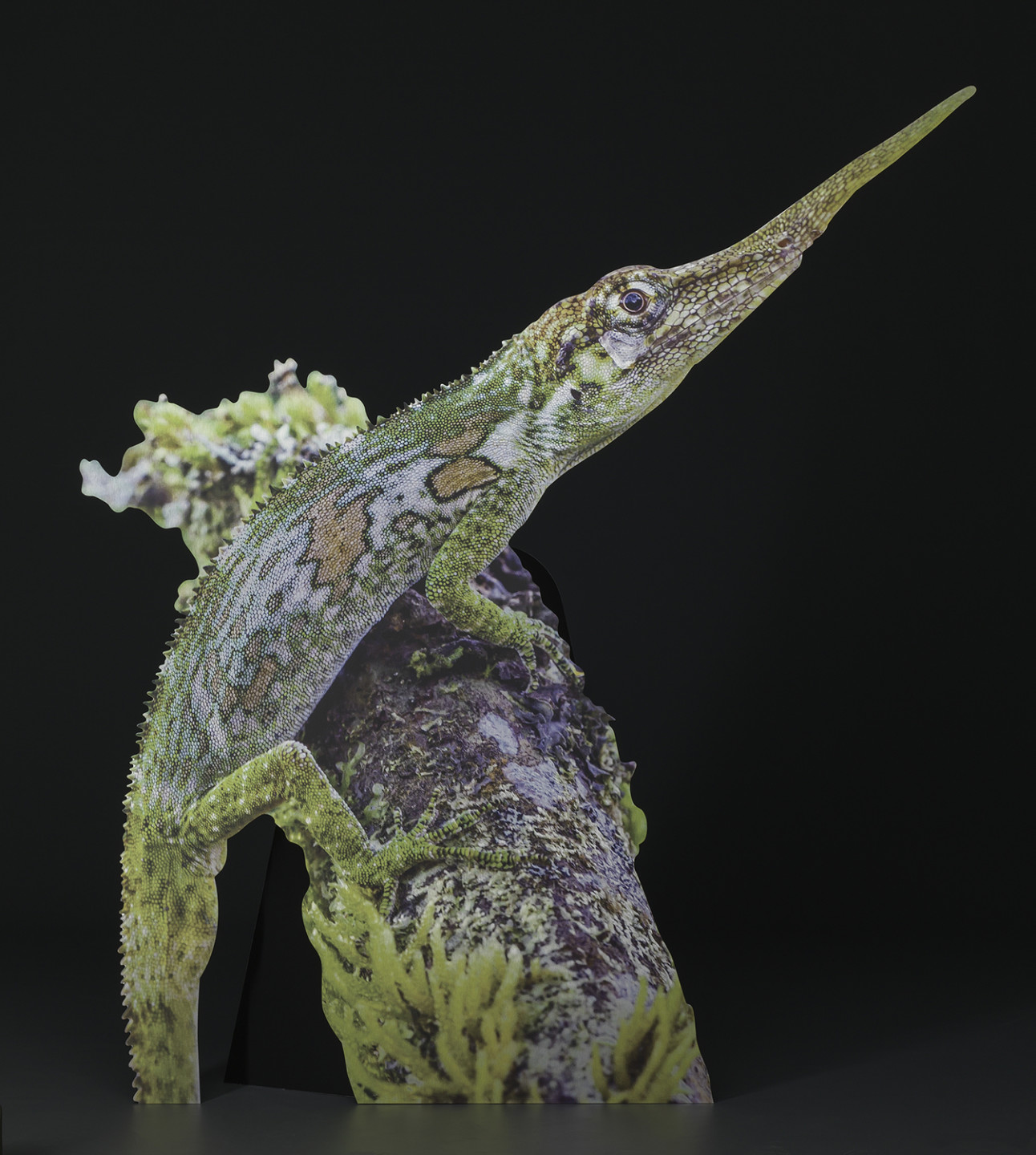 Conditioned Movement | Moderna Museet i Malmö