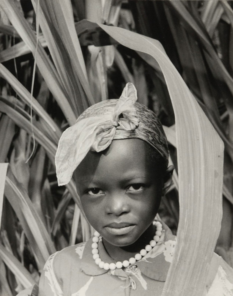 Dance photography – Anna Riwkin's portrait of Alexander von Swaine ...