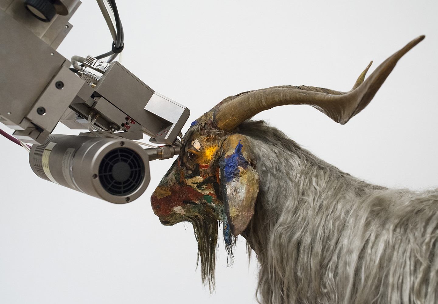 How is the Goat getting on? | Moderna Museet i Stockholm