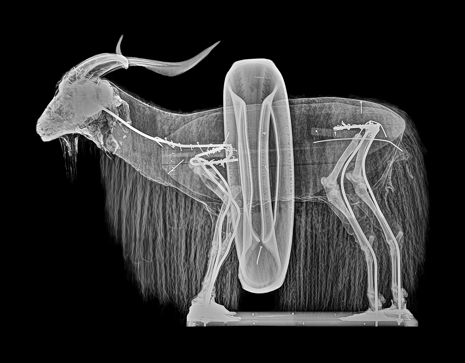 Monogram Goes on Tour | Moderna Museet i Stockholm