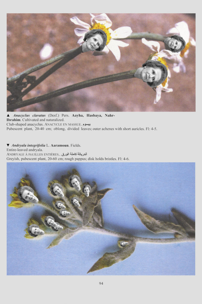 Introduction Walid Raad | Moderna Museet i Stockholm